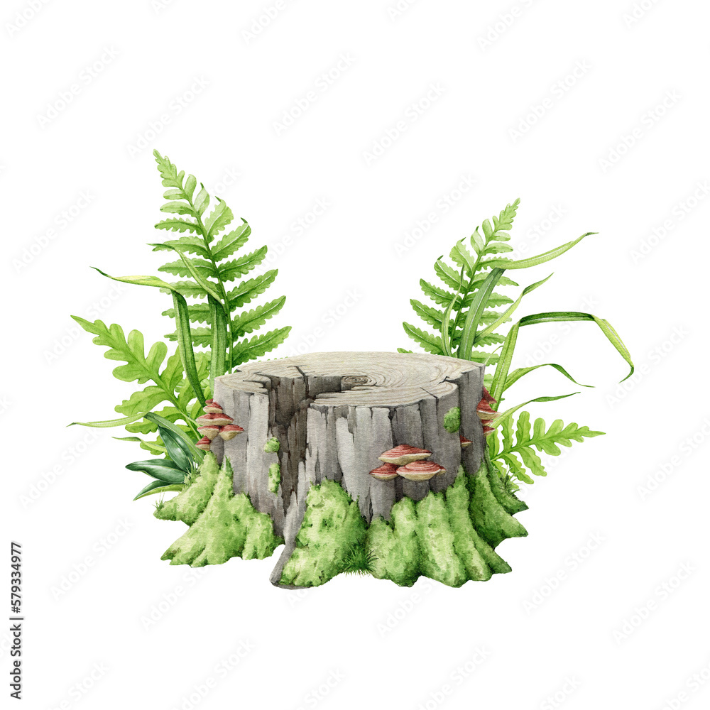 Mossy stump with green grass and fern around. Watercolor illustration ...
