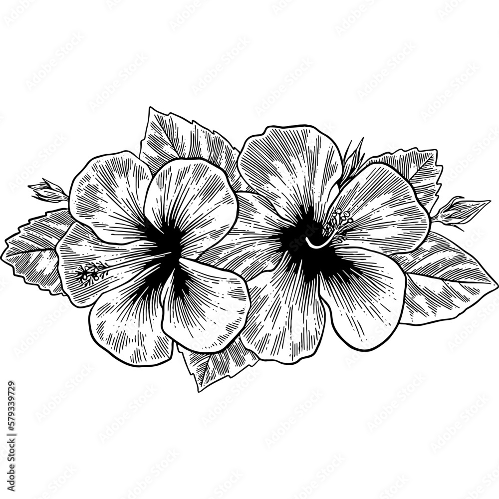 Hand drawn Hibiscus Flower Sketch illustration Stock Vector | Adobe Stock