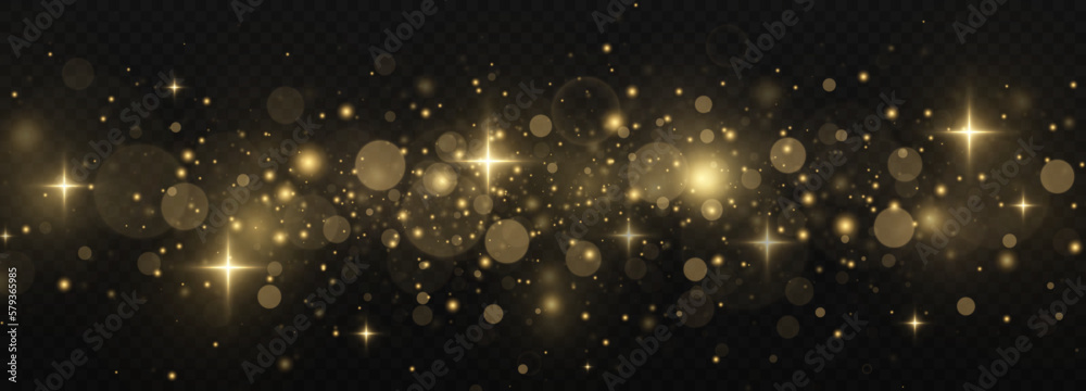 Glowing dust particles effect. The dust sparks and golden stars shine ...