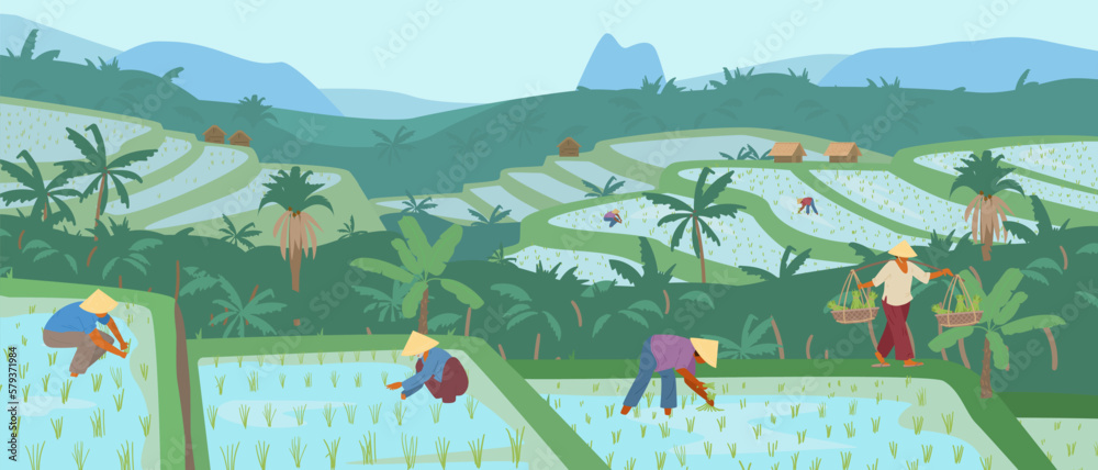 Rice fields scenery with farmers vector illustration. Asian rice ...