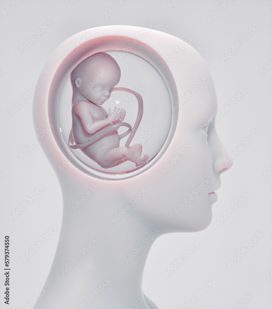 Poster Fetus in the human head. Pregnancy planning and new life concept ...