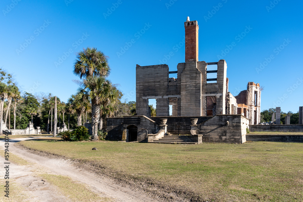 Nine-banded armadillo (Dasypus novemcinctus) at Dungeness mansion ruins ...
