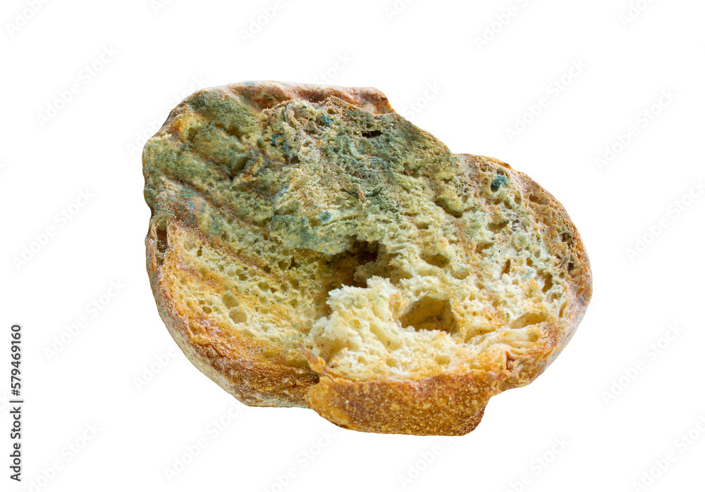 Poster Moldy bread slice on a transparent background – Wall Art | UkPosters