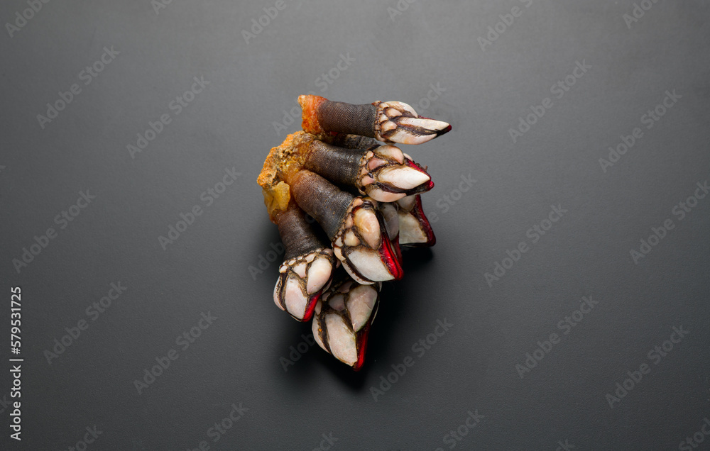Barnacles, goose neck barnacle, percebes, gallician barnacles ...