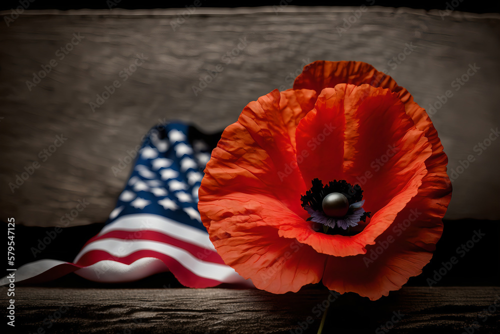 single poppy resting on the United States of America flag in honor of ...