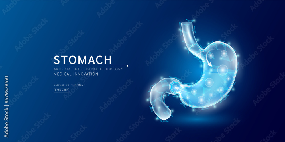 Human Stomach Template