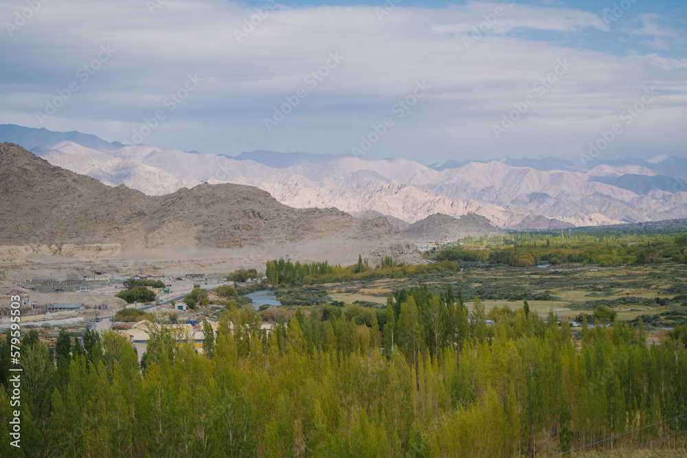 Beautiful landscape with greenery in a village, the background is ...
