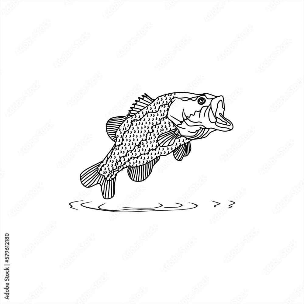 Bass Fish Jumping Drawing