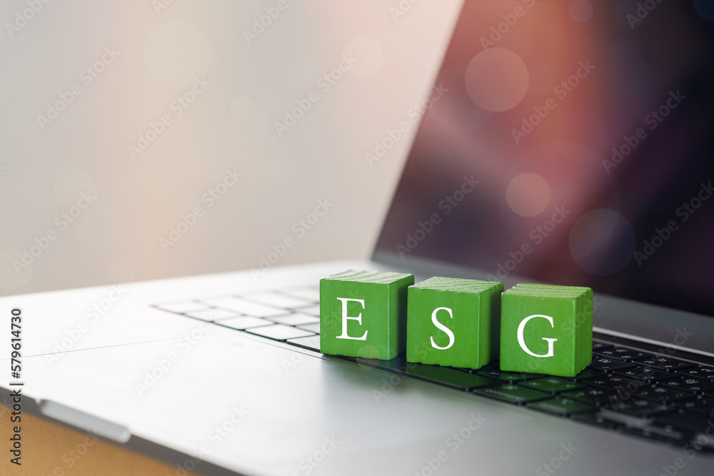 Wooden cubes with target setting to ESG icon with other ESG icons on ...