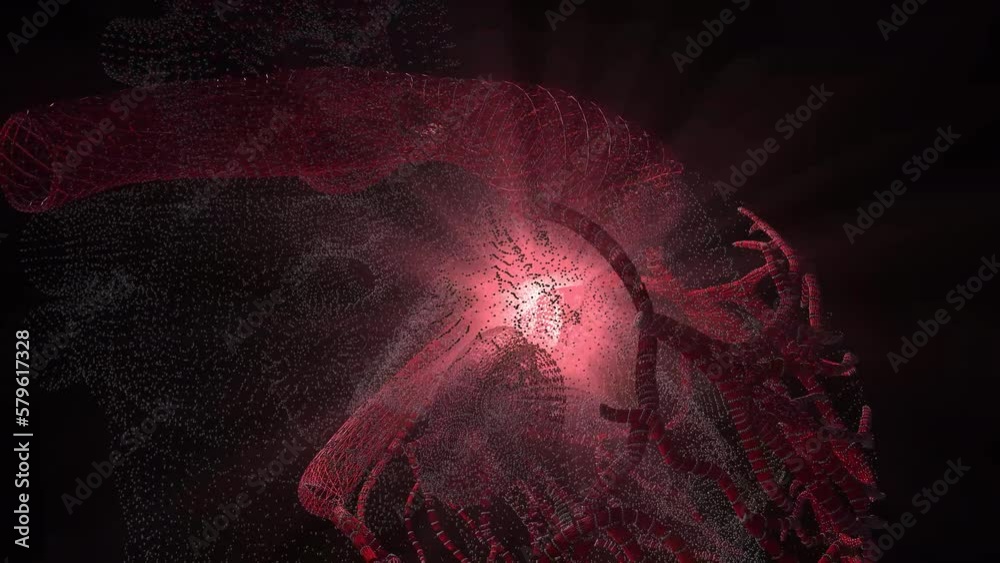 Anatomically Correct Red Digital Human Heart Seamless Loop With ...