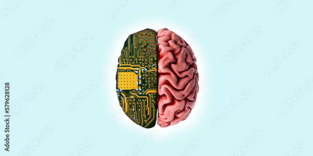 The human brain with two halves. Live brain organ and electric circuit ...