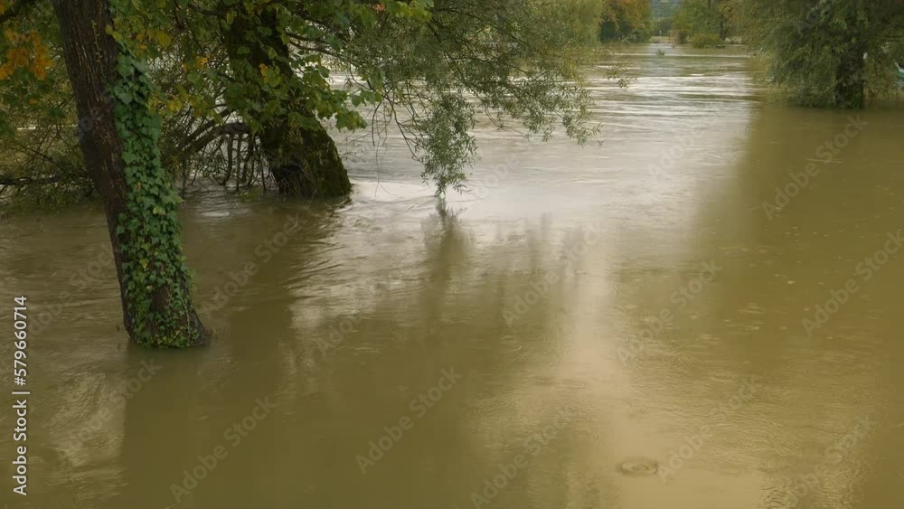 Large flooded area with muddy floodwater flowing around submerged tree ...