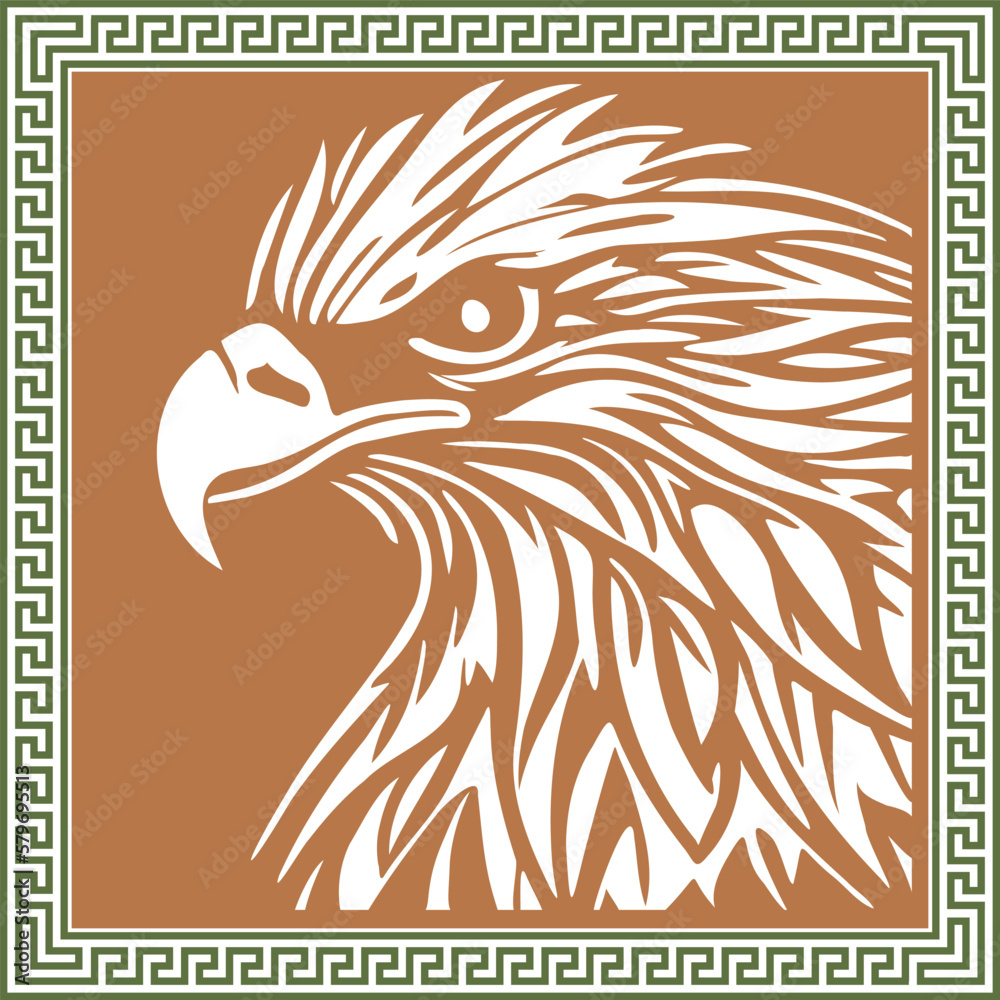 Hawk Beak Vector