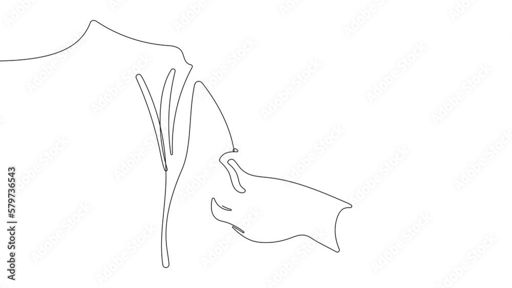 4k animated self drawing of continuous line drawing of Medicine doctor ...