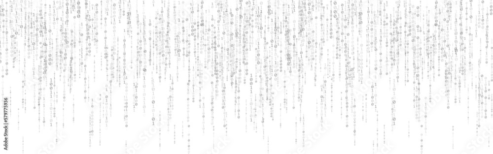 Binary code on white background. Abstract matrix stream. Running ...