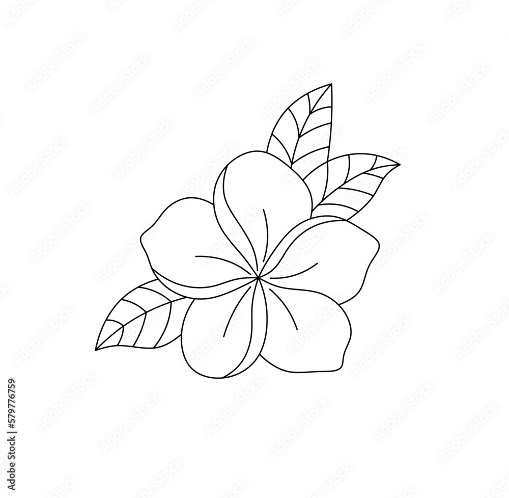 Easy Tropical Drawings