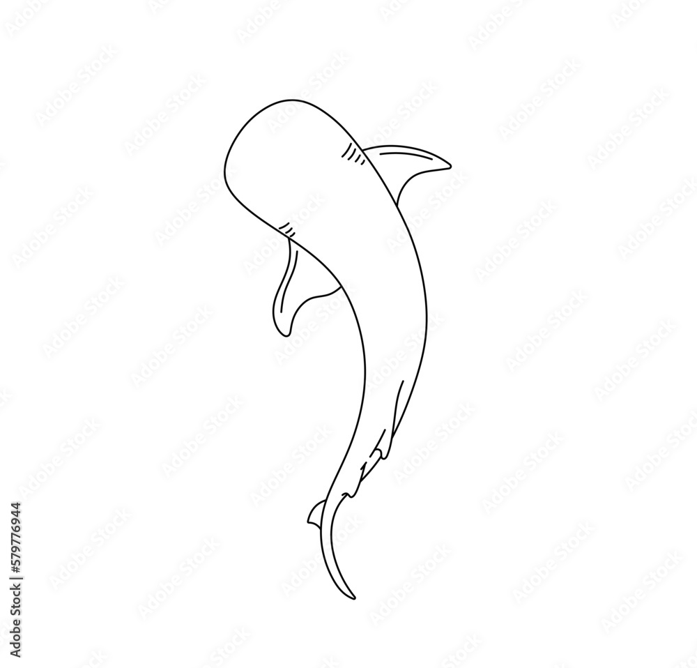 Vector isolated one single swimming shark top view colorless black and ...