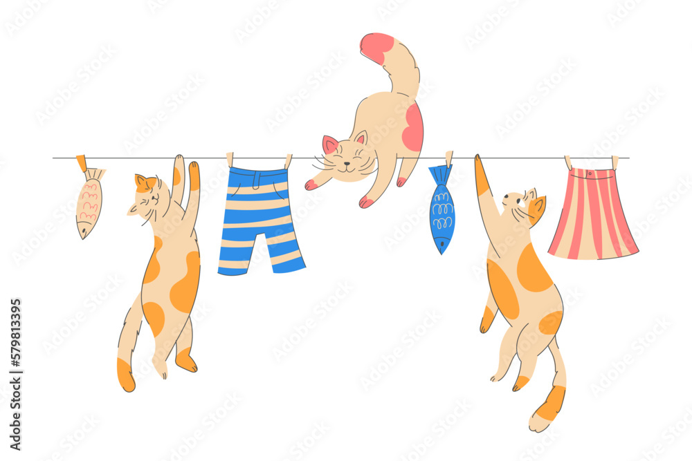 Relaxing cats. Adorable animal. Pets hang on clothesline. Smile kitten ...