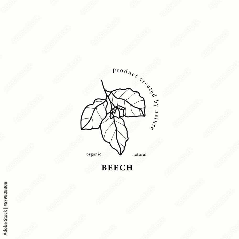 Line art beech tree branch illustration Stock Vector | Adobe Stock