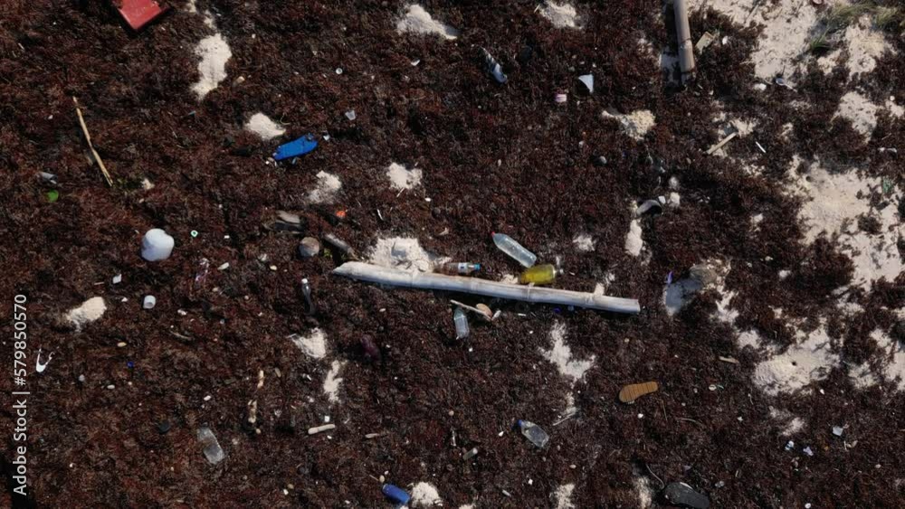 Plastic Waste Littered on a Beach Caused by Dumping of Plastics in the ...