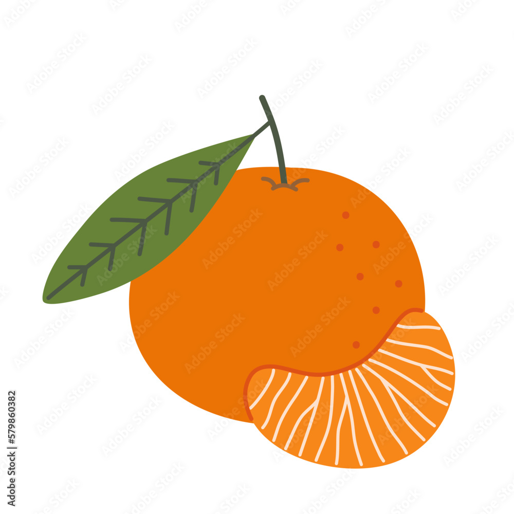 Mandarin. Whole tangerine and slice. Isolated vector illustration in ...