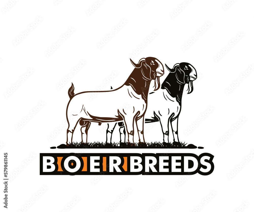 GREAT GOAT BREEDS BOER LOGO, silhouette of strong and healthy ram vector illustrations Stock ...