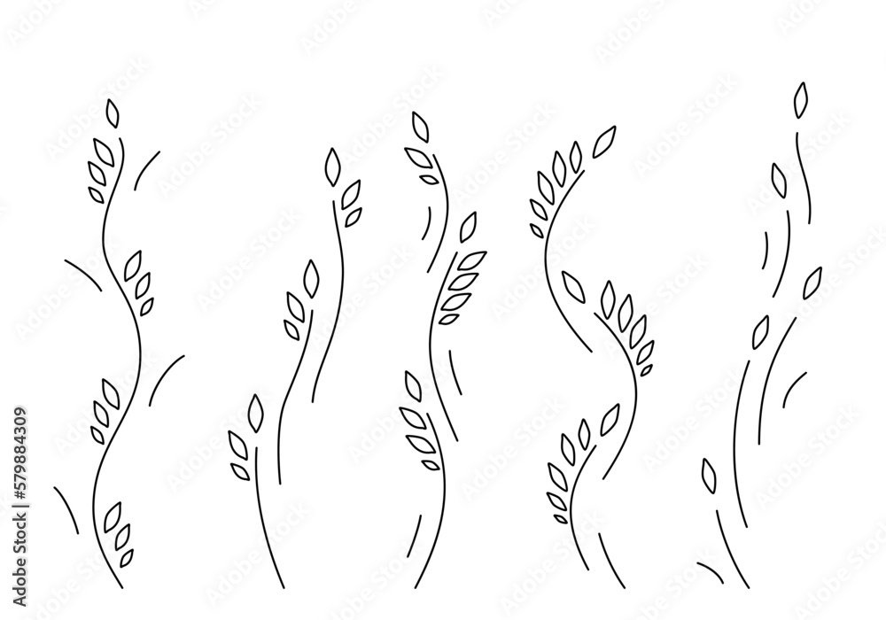 Vines and leaves universal collection isolated on white background ...