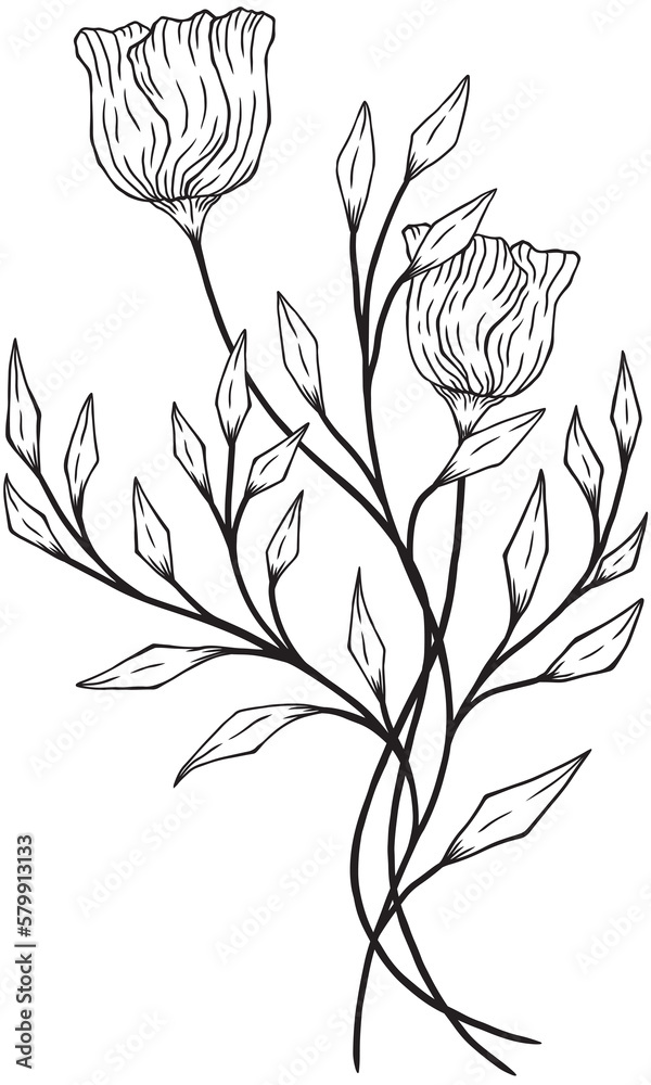 Hand Drawn Flowers No Background | Best Flower Site
