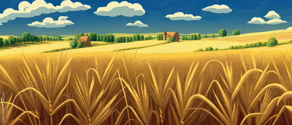 Large wheat thorns on a field on a beautiful nature and landscape in the sun. Extended rich ...