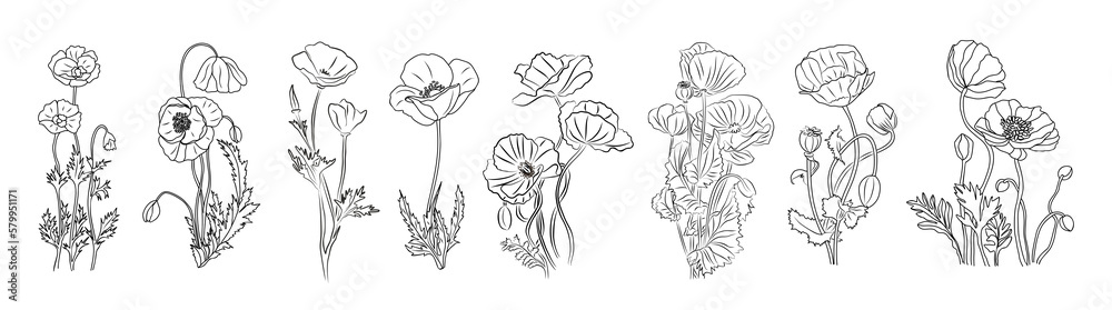 August Birth Month Flower Tattoo