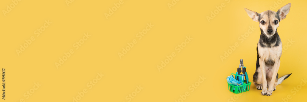 pet store background, funny happy dog with a shopping cart with pet ...