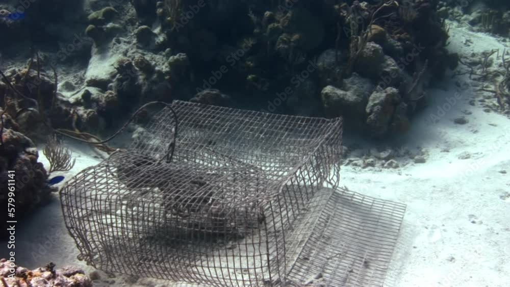 Stockvideo Iron mesh trap for catching underwater on sandy bottom ...