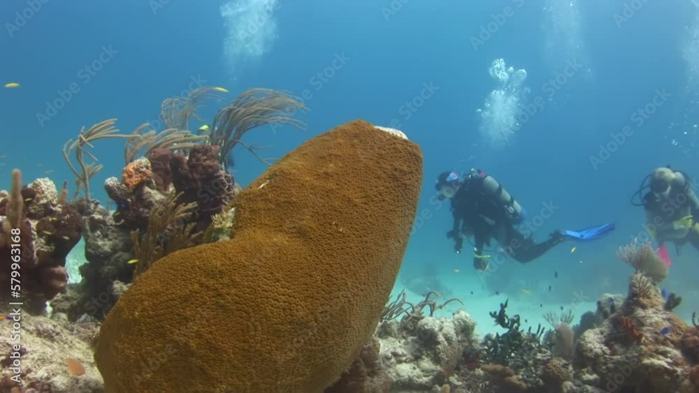 Caribbean Sea, Commonwealth of the Bahamas - September 3, 2020 ...