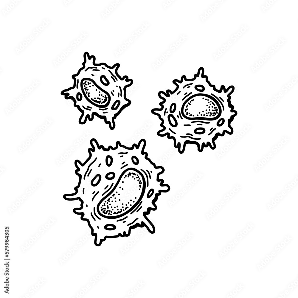 Natural killer cell isolated on white background. Hand drawn scientific ...