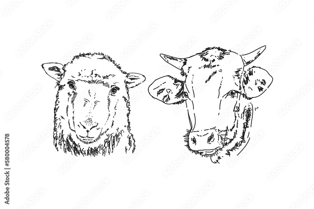 Line art sketch hand drawn doodle design of sheep, goat and cow for ied ...