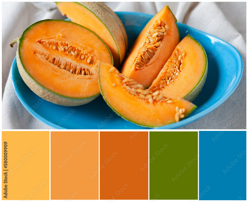 Design palette inspired by summer refreshing juicy orange melon in a ...