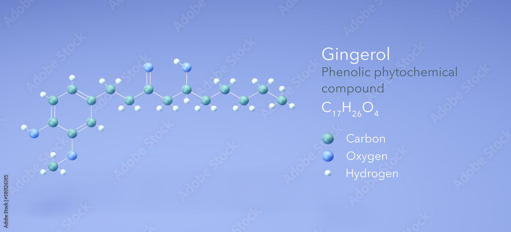 gingerol molecule, molecular structures, phenolic phytochemical ... gingerol molecule, molecular structures, phenolic phytochemical ...