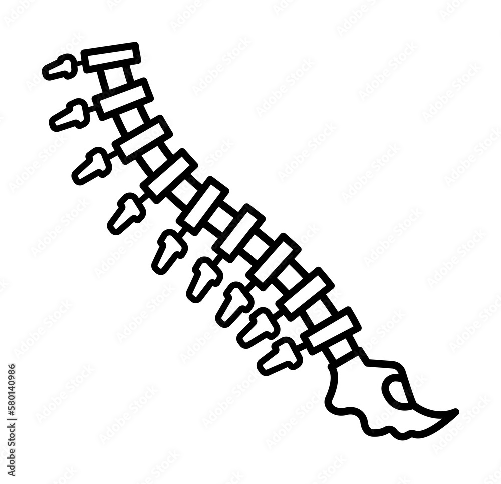 Backbone lumbar spine vertebra icon. Simple line, outline elements of ...