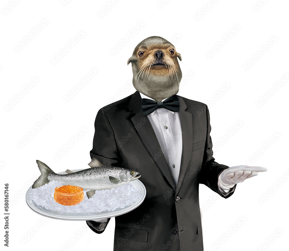 otarie, plateau de fruit de mer, servir, des œufs de saumon , crustacé ...