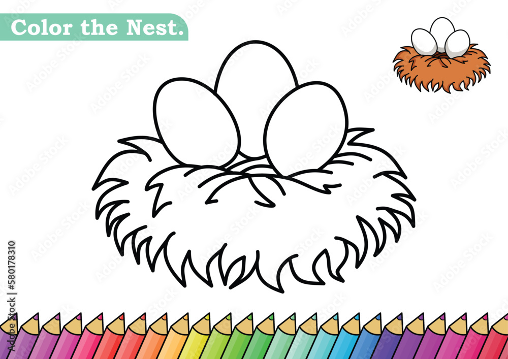 Coloring page for Nest vector illustration. Kindergarten children ...