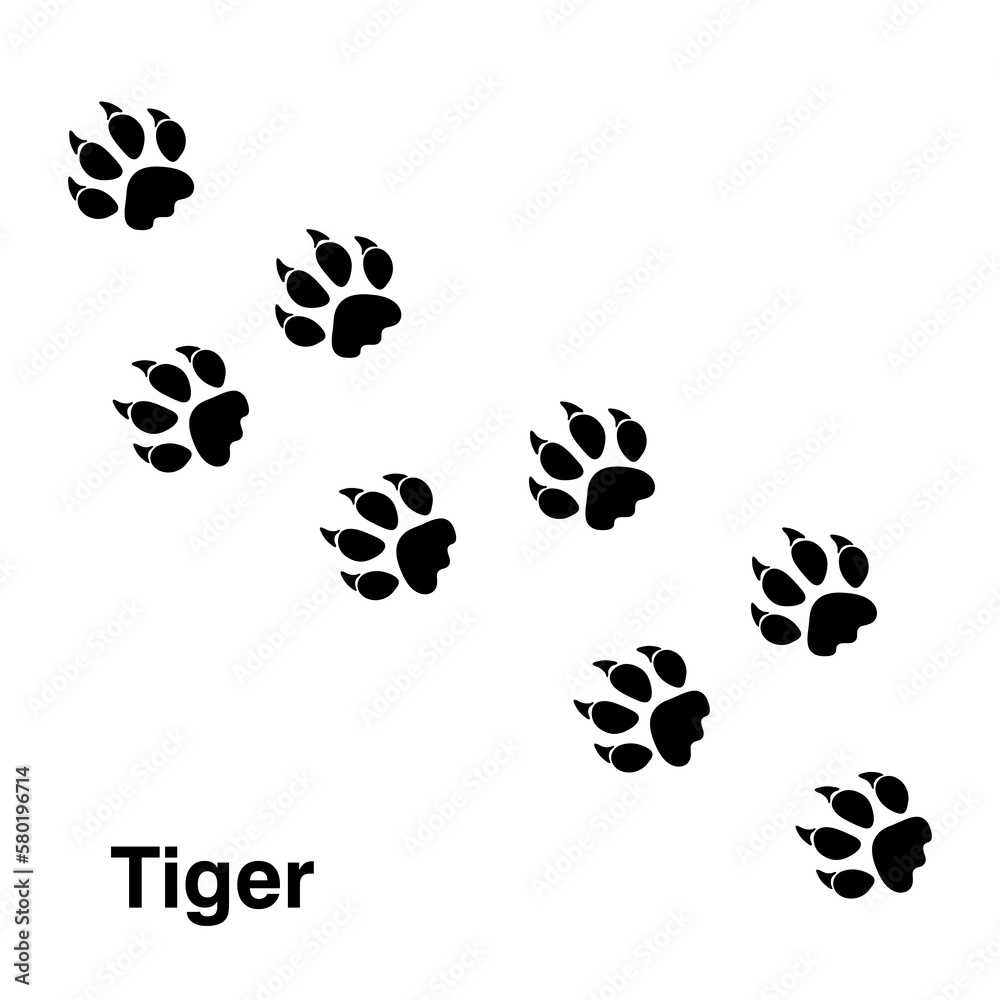 Tiger Footprint illustration, animal paw print isolated on white ...