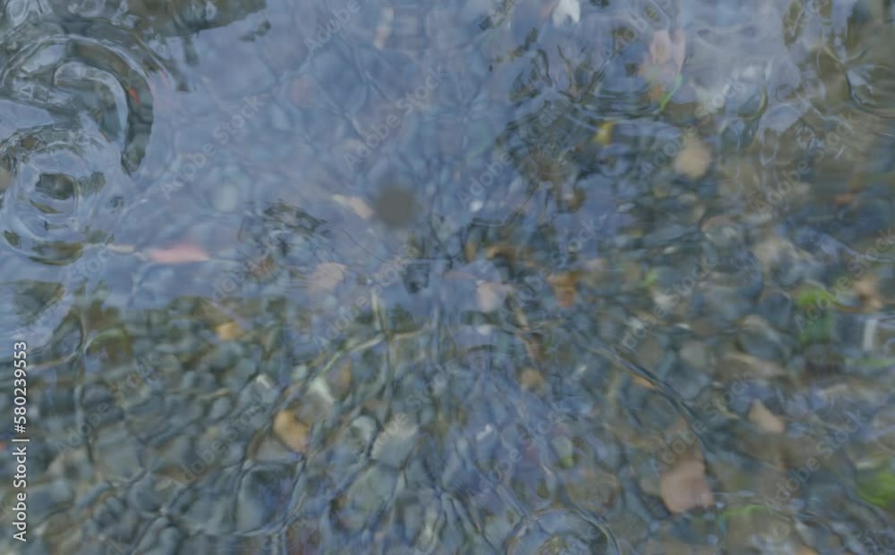 Vidéo Stock Raindrops falling on water of pond with small stones and ...