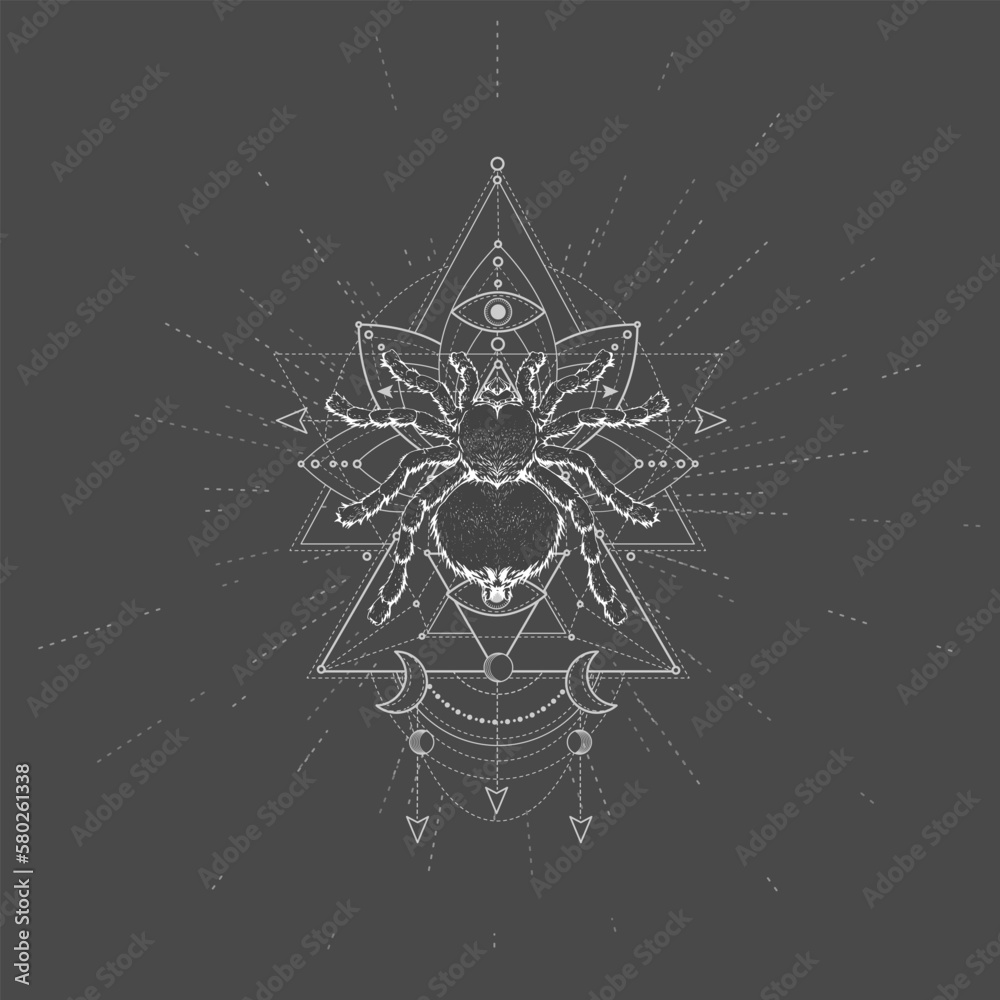 Vector illustration with hand drawn Spider Tarantula and Sacred symbol ...