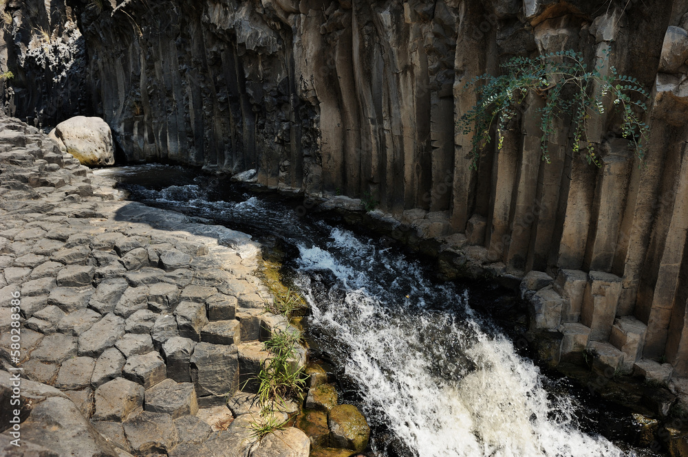 Stream and pond Meshushim in Israel - a beautiful place in the Golan ...