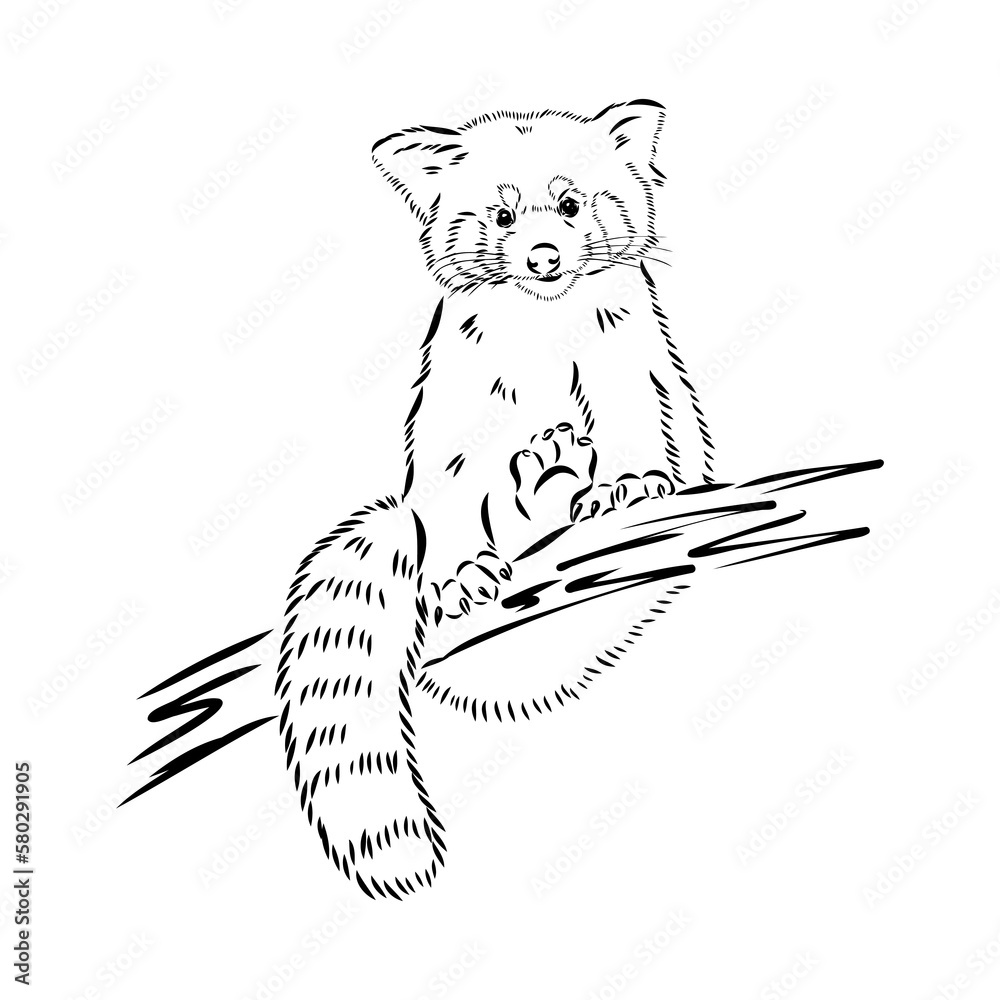 Cute red panda. Cartoon animal design. Vector illustration isolated on ...
