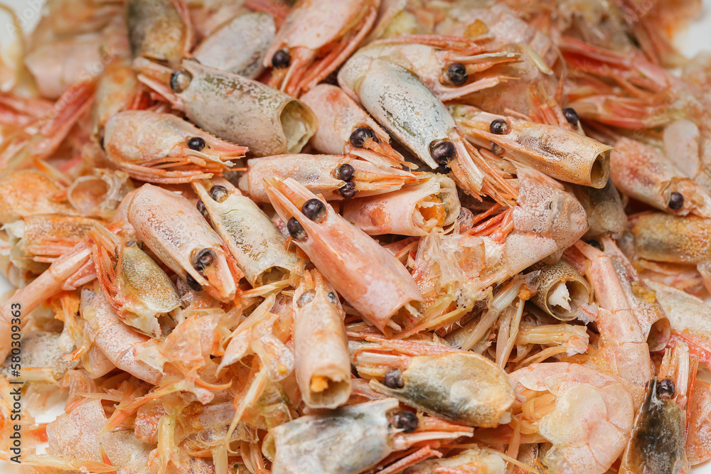 remains of shrimp shells on a plate, leftover food Stock Photo | Adobe ...
