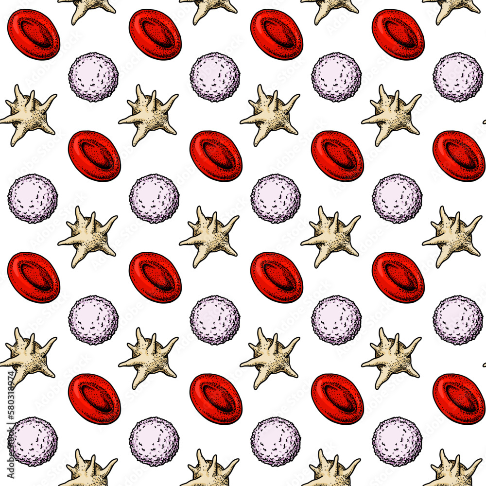 Blood cells seamless pattern. Hand drawn erythrocytes, leukocytes and ...