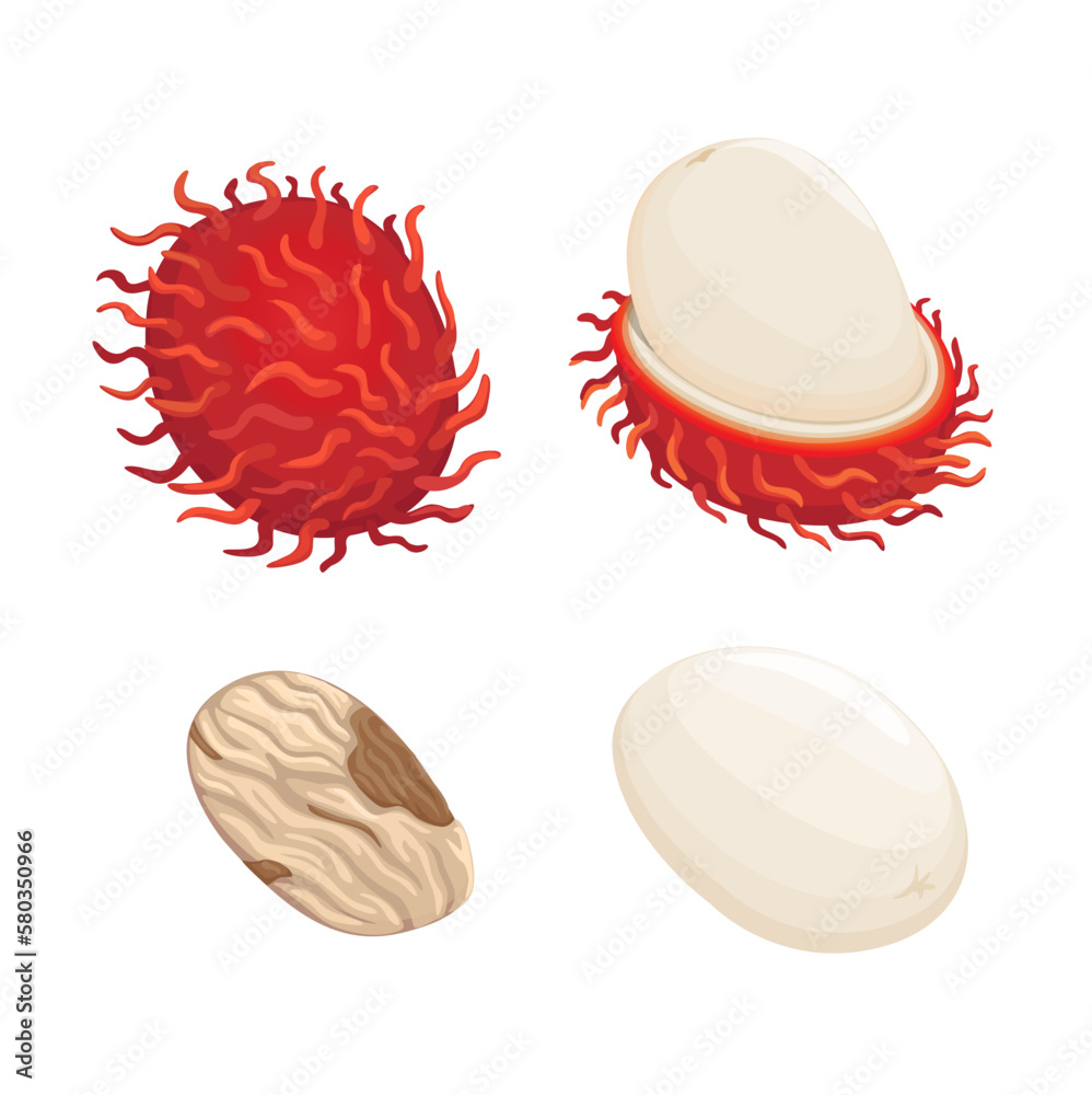 Rambutan aka Hairy Fruit or Sapindaceae Exotic Fruit from Asian symbol ...