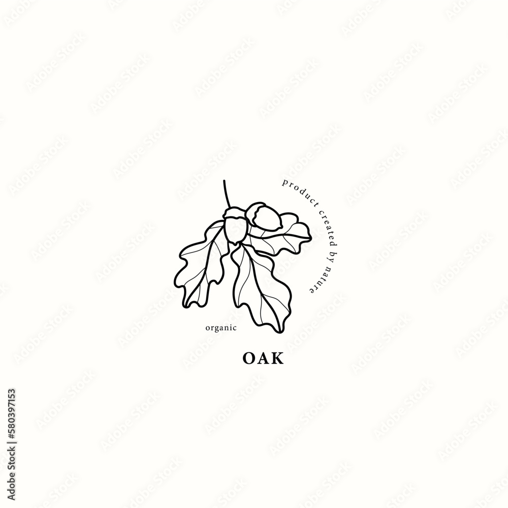 Line art oak branch illustration Stock Vector | Adobe Stock