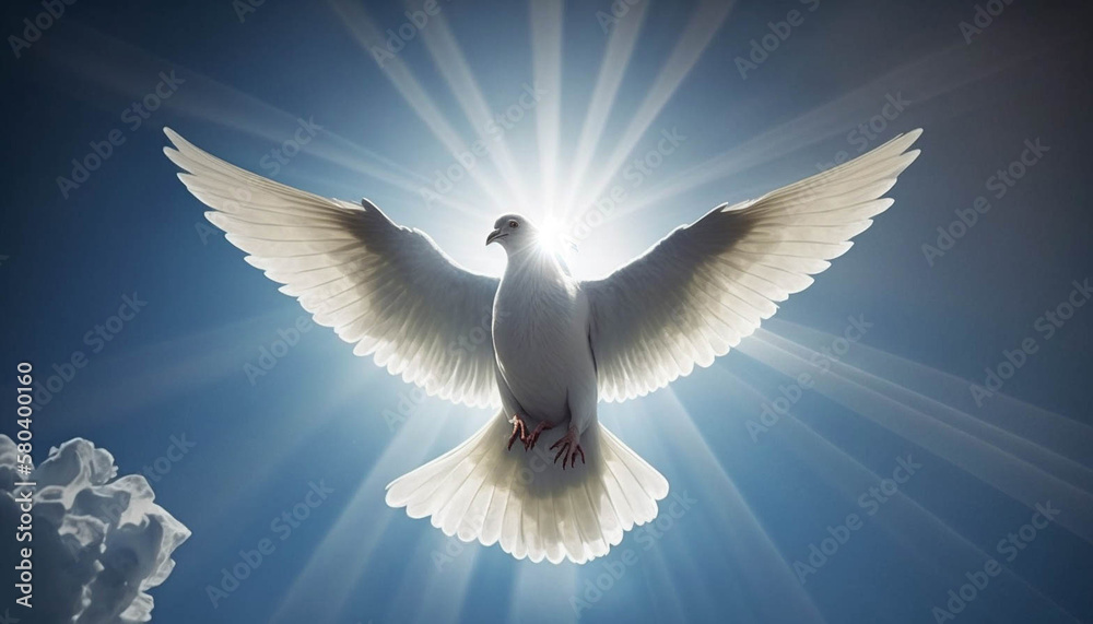 white dove illuminated by the rays of the sun. Concept of resurrection of Jesus Christ. Holy ...